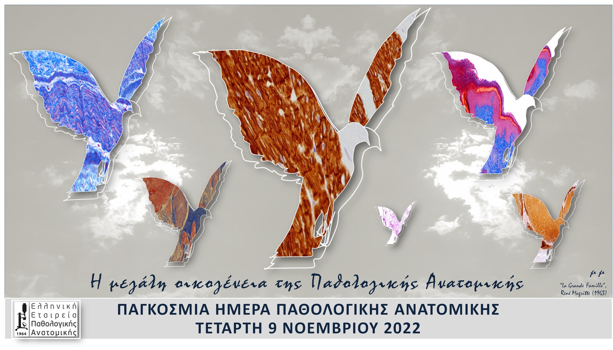 Παγκόσμια Ημέρα Παθολογικής Ανατομικής 2022 - Ελληνικός Σύλλογος ...